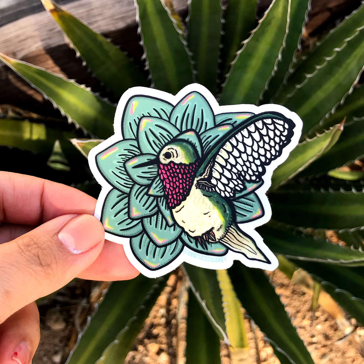 Hummingbird Green Succulent Vinyl Waterproof Sticker – ANNOTATED AUDREY
