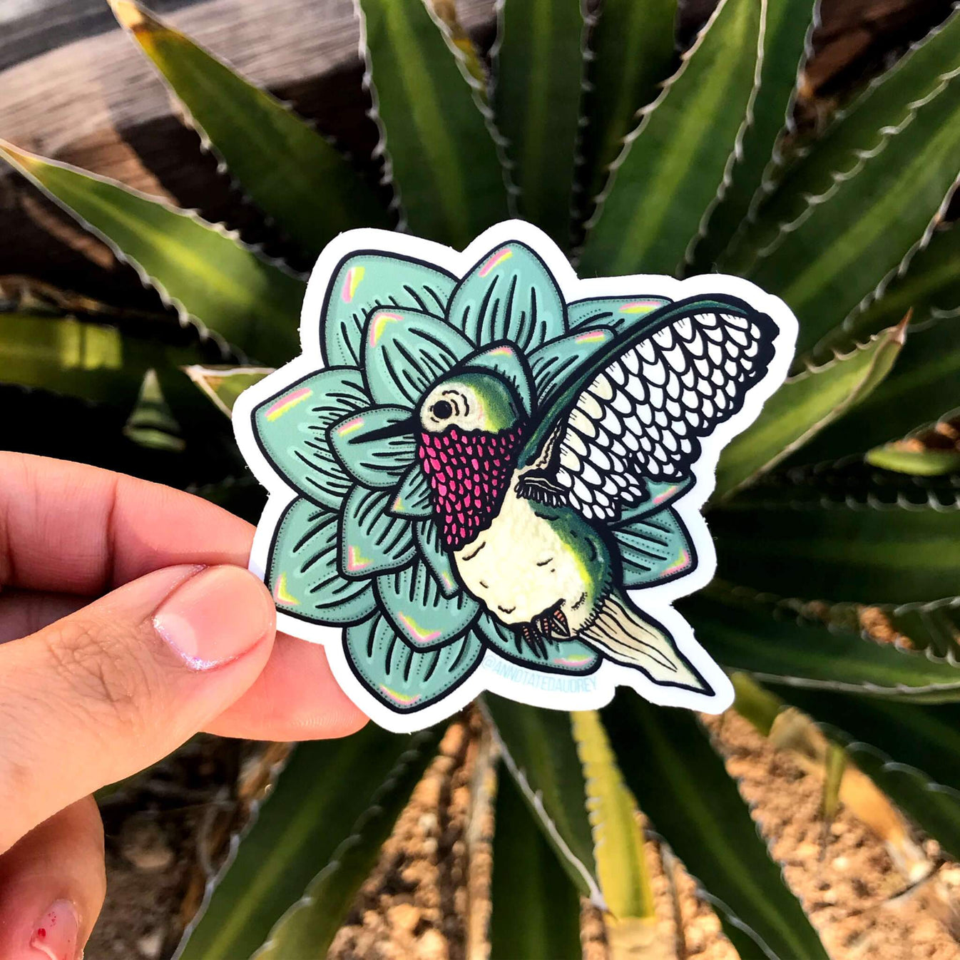 Hummingbird Green Succulent Vinyl Waterproof Sticker – ANNOTATED AUDREY